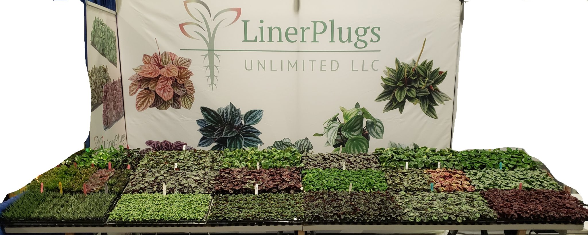 Liner Plugs Green Masters Inc